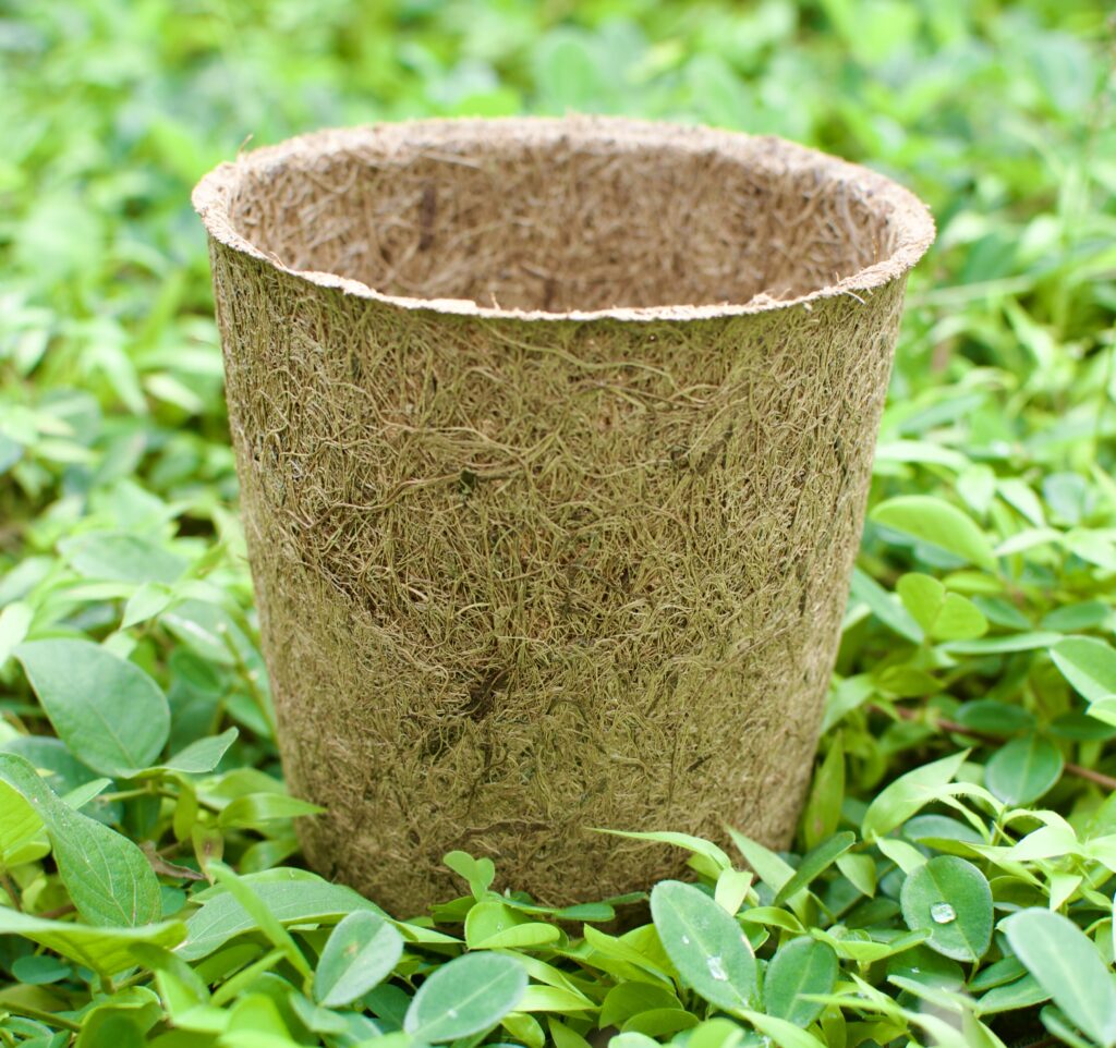 Coir Pots